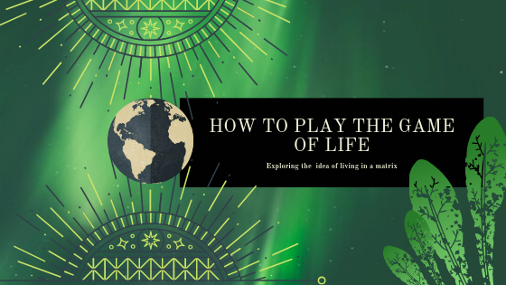 Simulation Life on Earth: How to Play the Game | Cherie Roe Dirksen